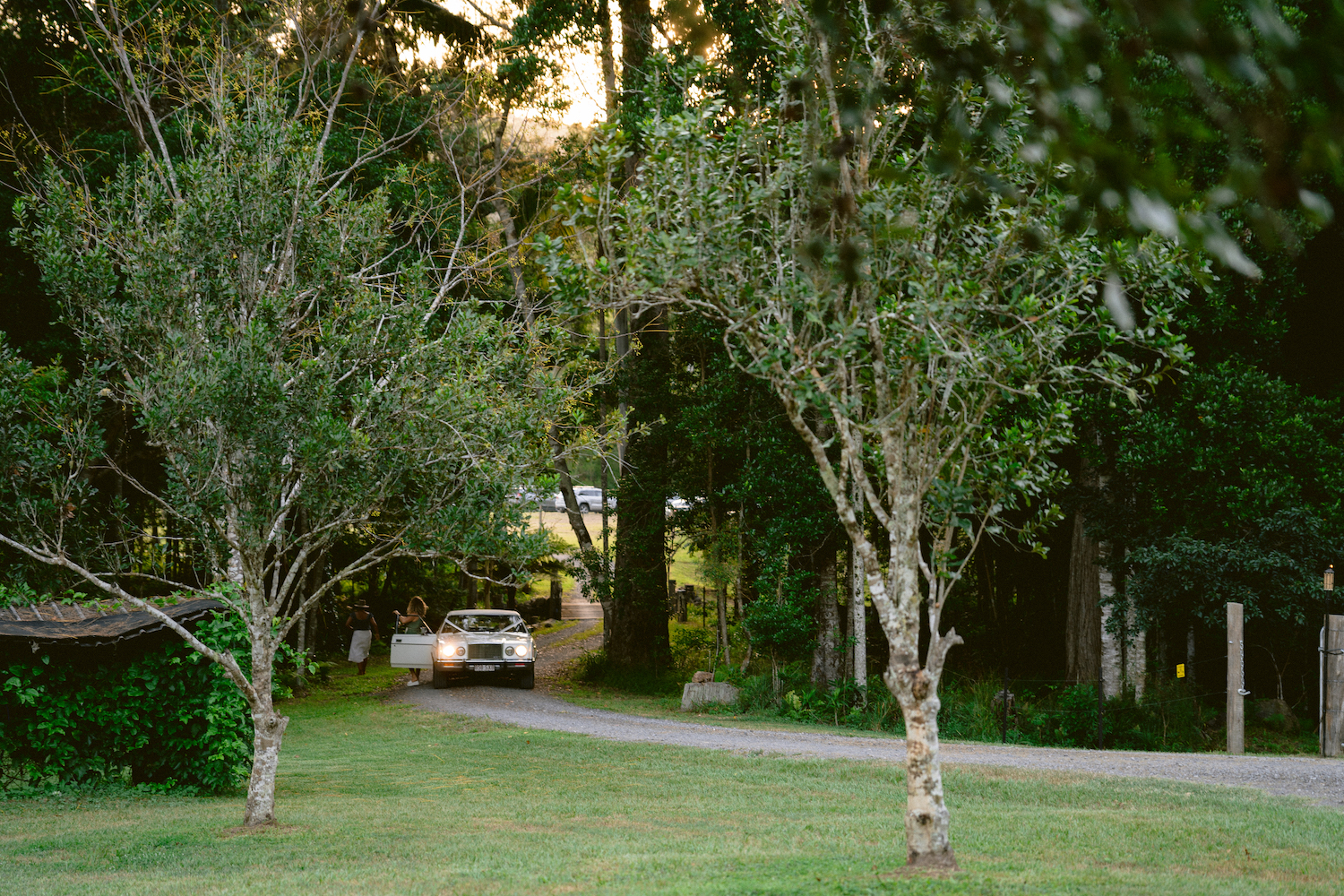CedarBanksSunsetSoirée-186 | The Bride's Tree
