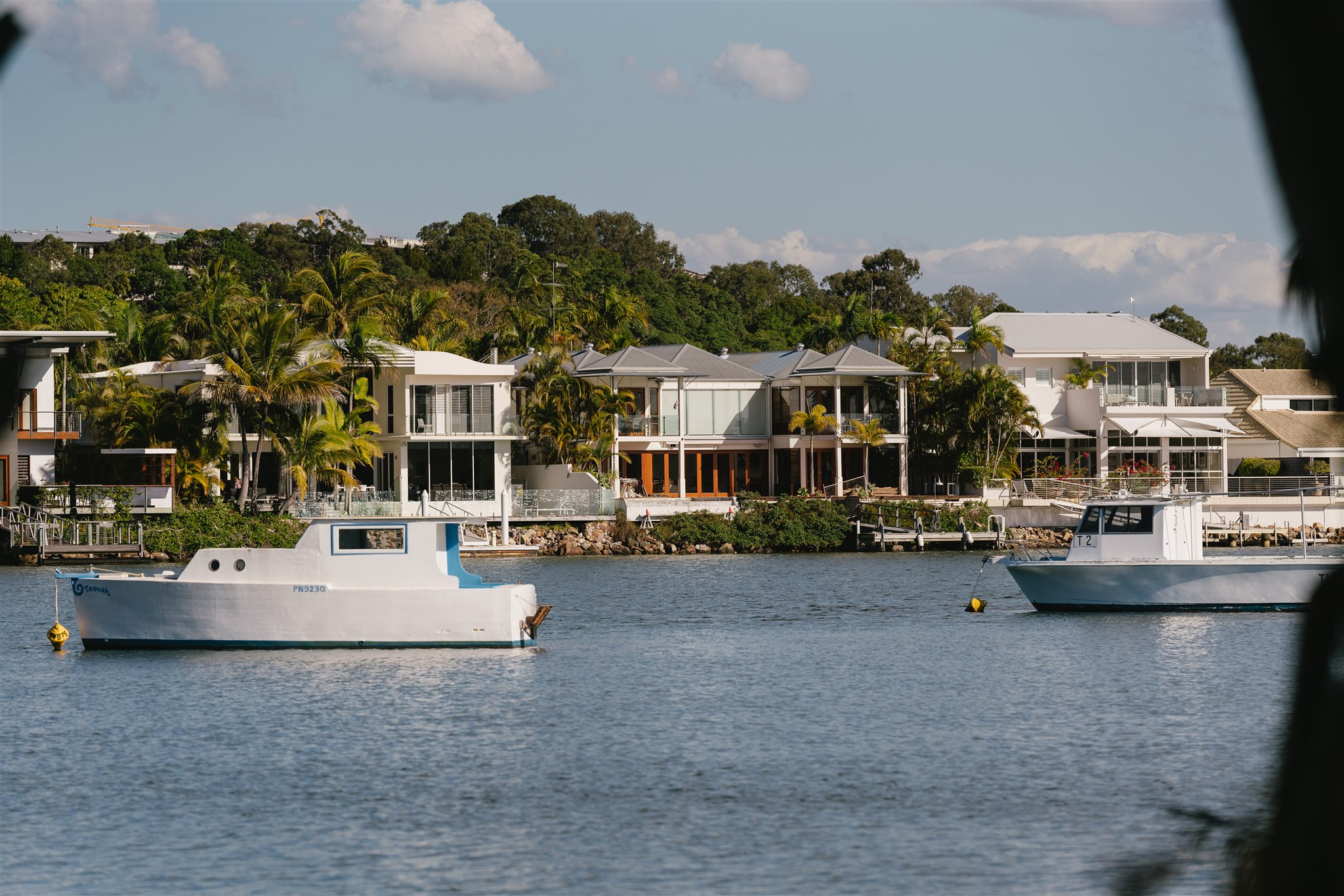PHILLIPA & PETER | The Bride's Tree